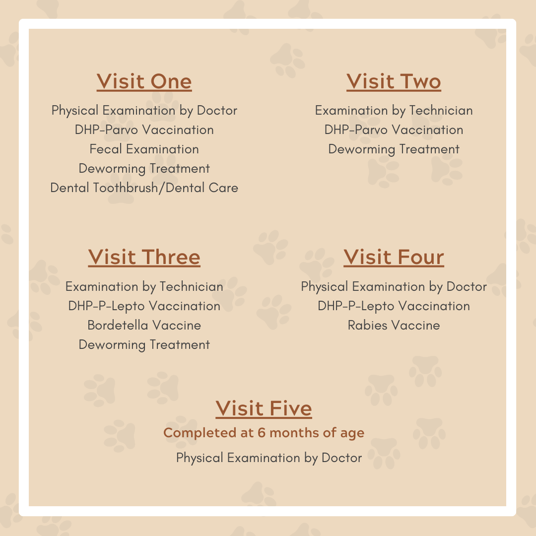 Puppy Wellness Package | The Drake Center For Veterinary Care